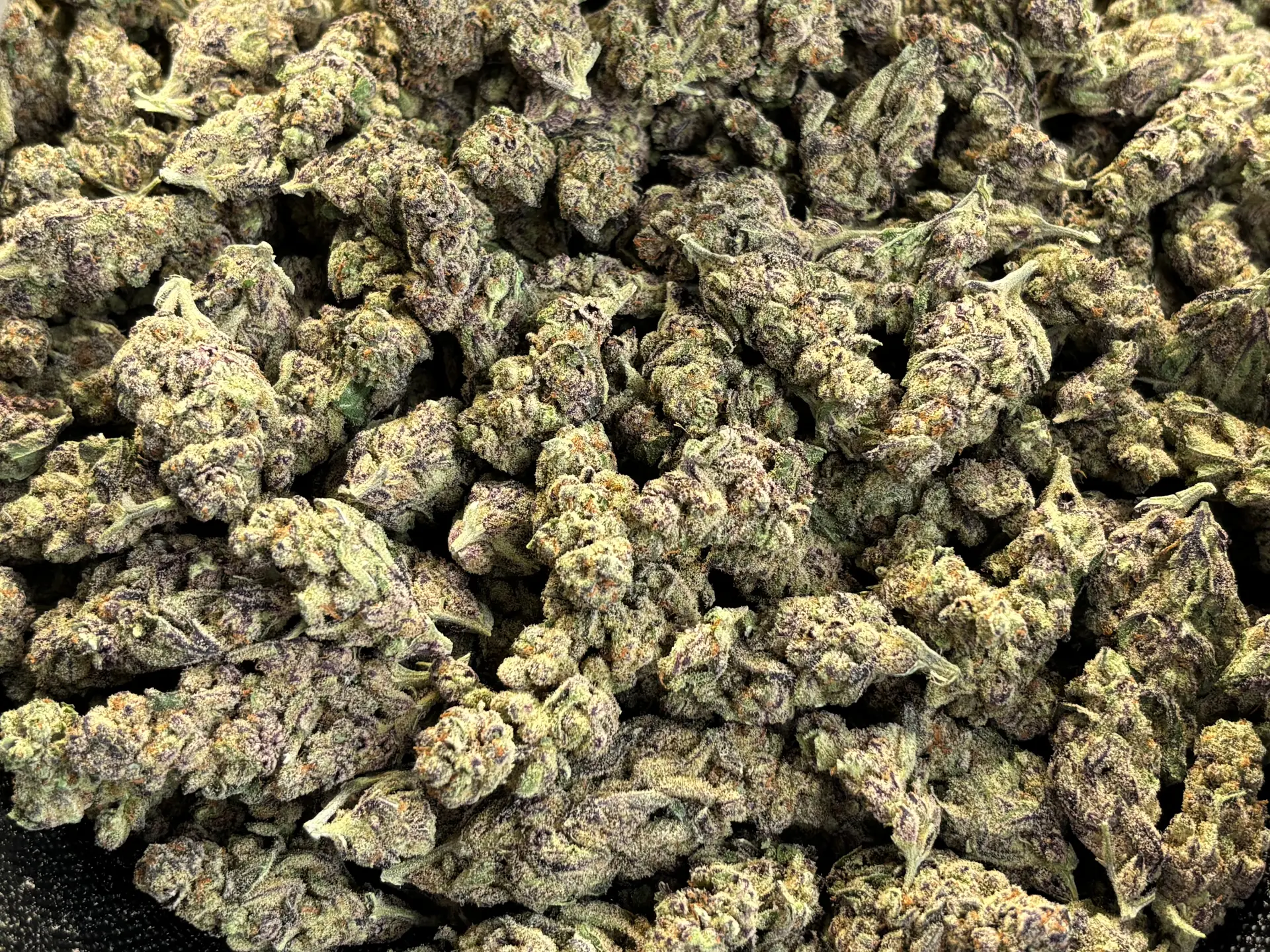 Eddy White — Hybrid Strain — THCa Flower — 32.63% — Indoor - High Hippy ...