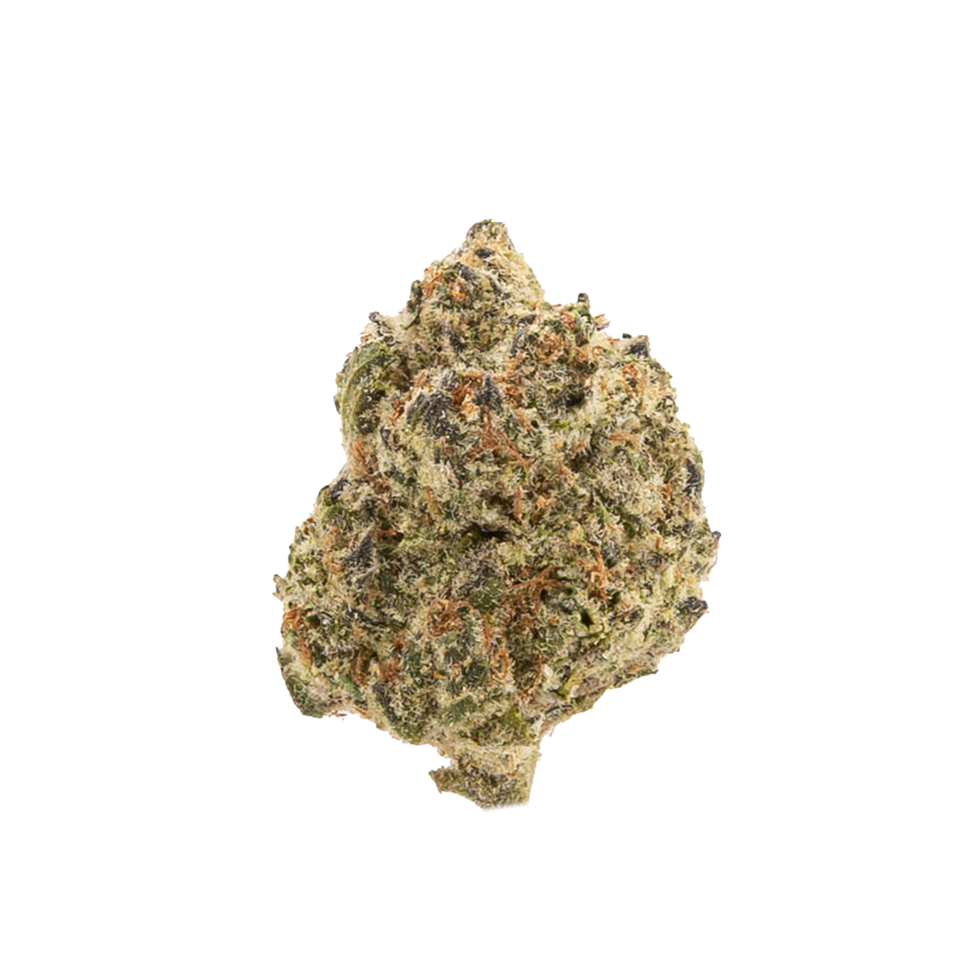 Purple Stardawg THCa Flower – 35.70% – Sativa – Exotic