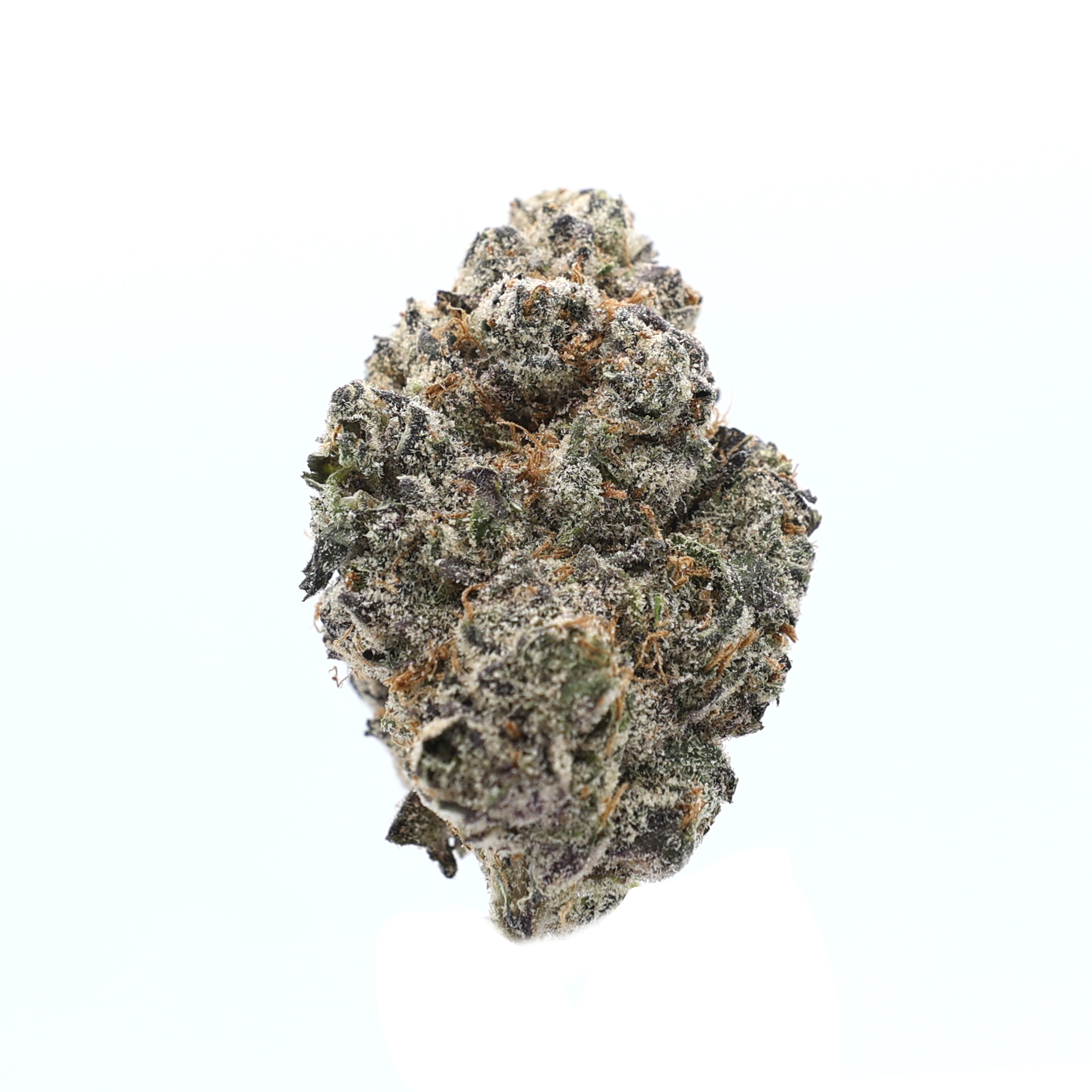 High Potency THCa Flower | 35 Percent Plus | High Hippy