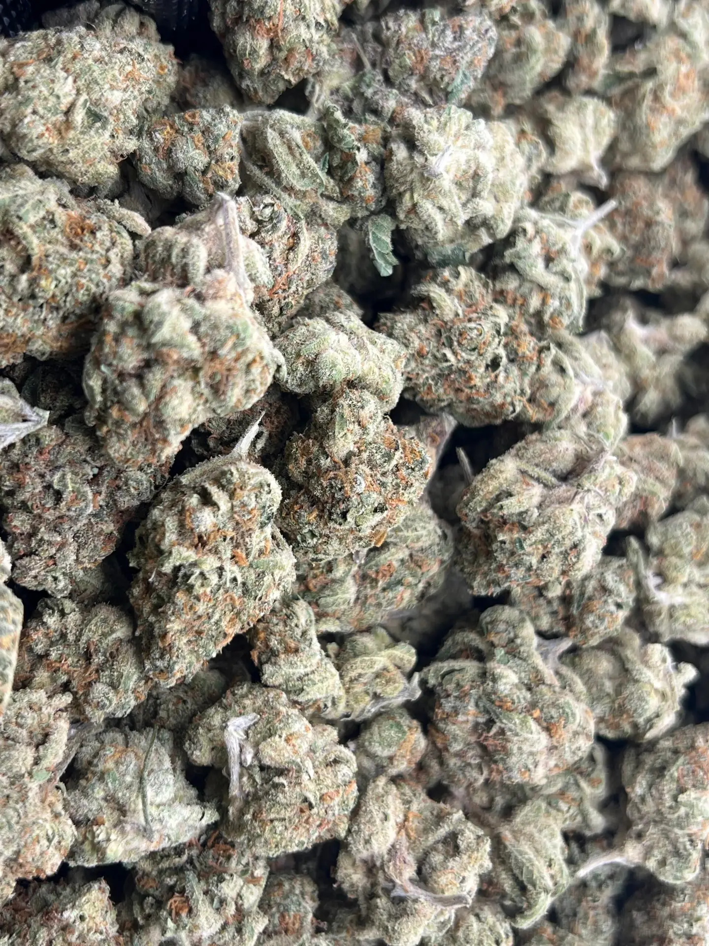 Airheadz - Indica Strain - Indoor THCa Flower - 32.02% - High Hippy ...