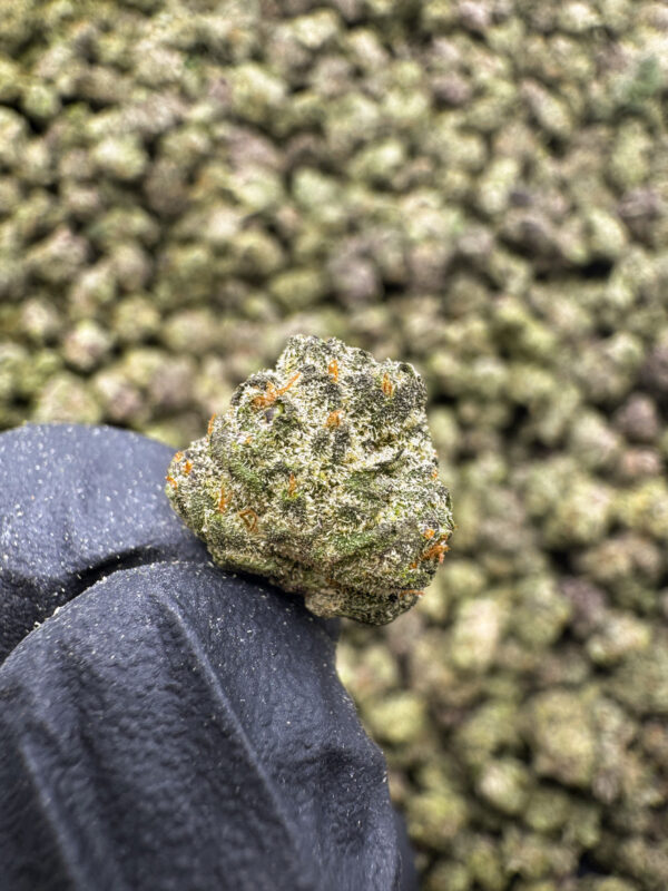 LA Kush (Smalls) THCa Flower – 33.56% – Indica – Exotic